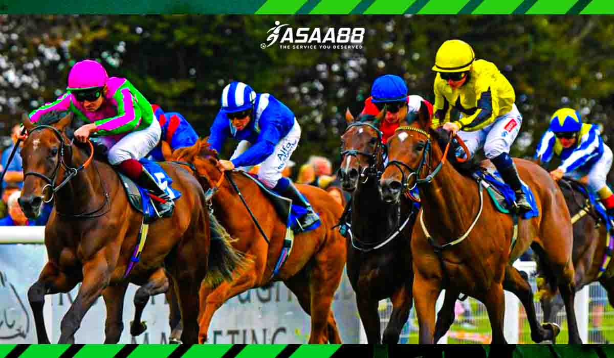 what is a dead heat in horse racing | Asaa88