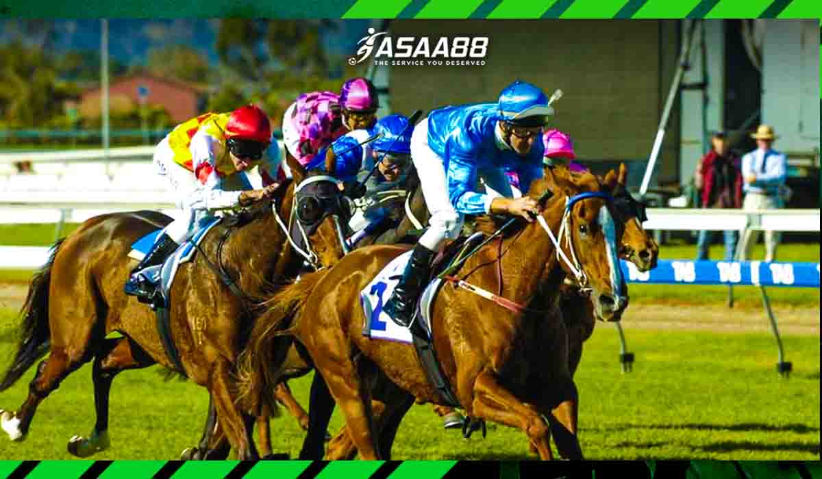 what is a dead heat in horse racing | Asaa88